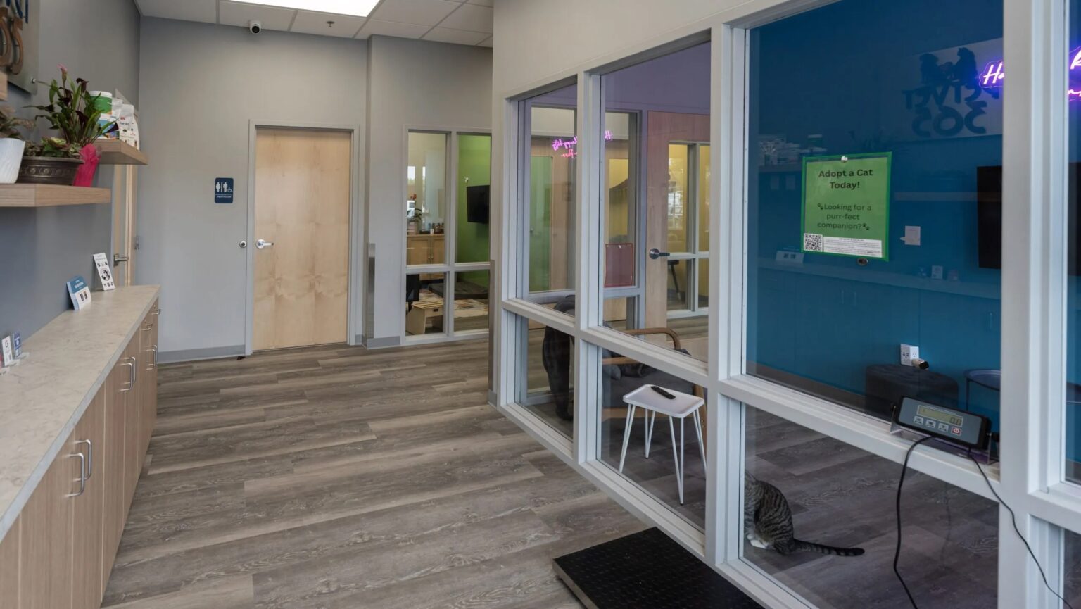 Commercial Remodel vs. New Build: Smart Benefits for Your Business